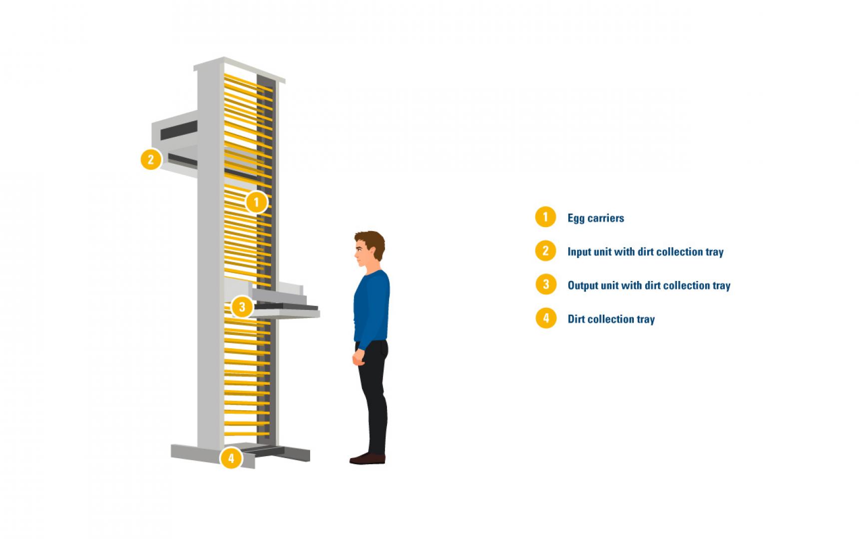 Multiflex Elevator Egg Transport System – Cavalo Agri