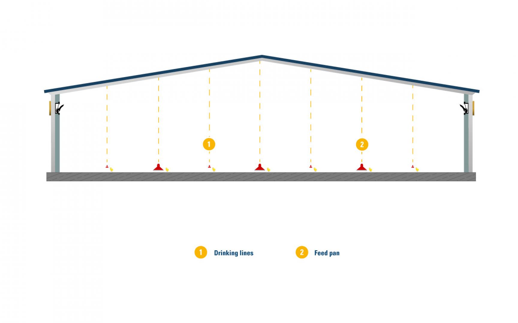 Broiler Floor Housing – Cavalo Agri